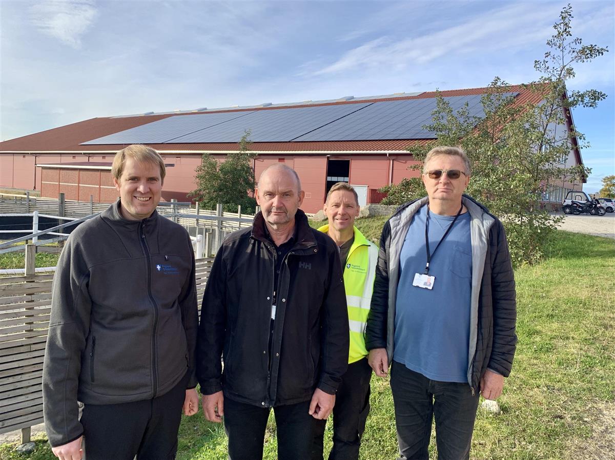 Ønsker solcellepanel på dei fleste skolebygga - Rogaland fylkeskommune