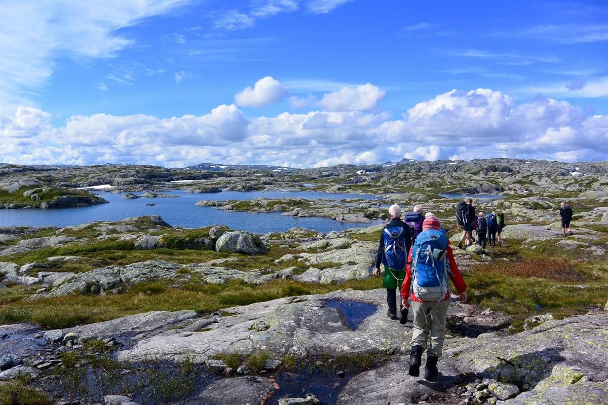 Regional plan for Setesdal Vesthei, Ryfylkeheiane og Setesdal Austhei ...